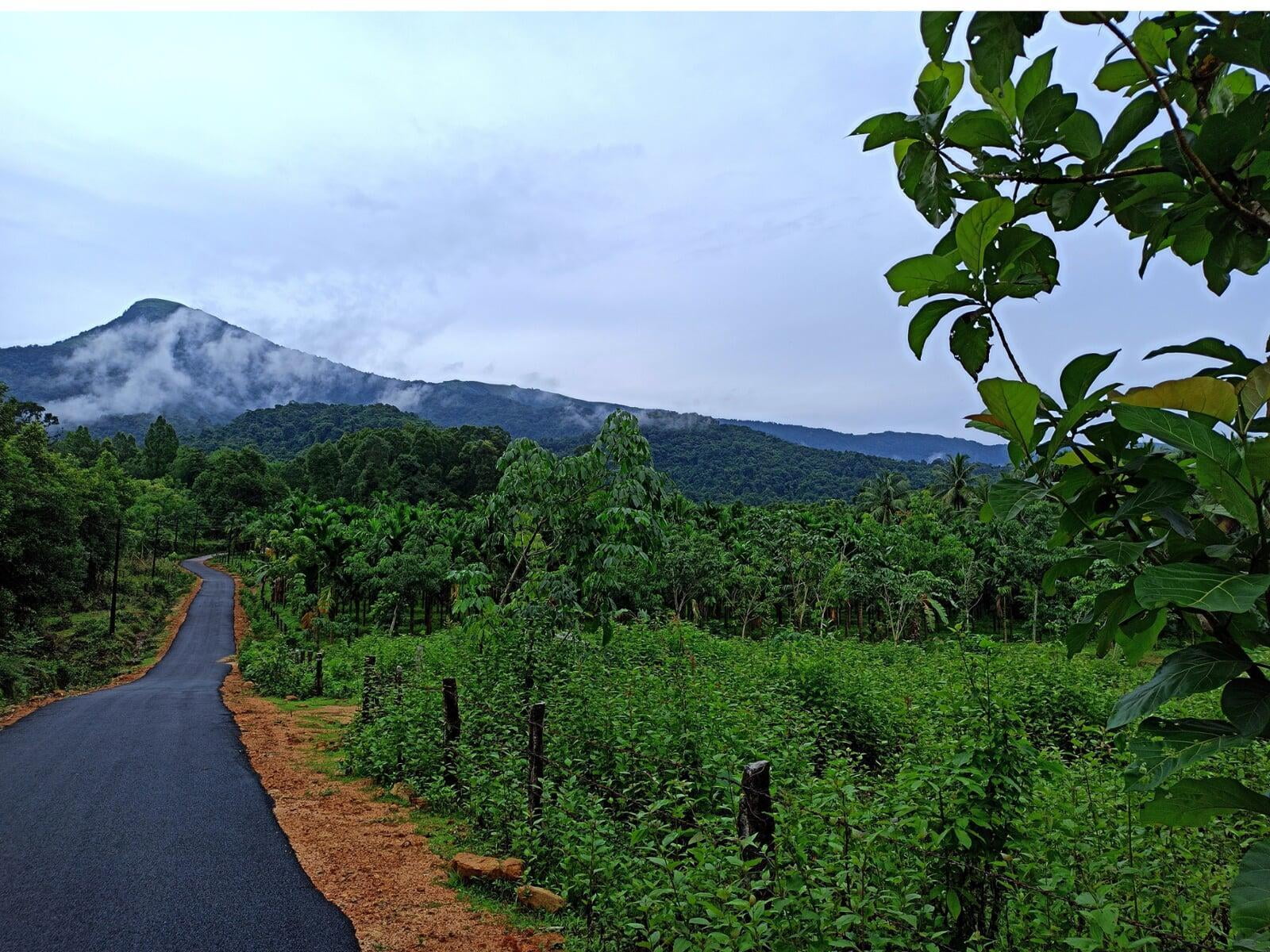 "Magadha Vana: Nurturing Nature, Spice, and Community in Karnataka's ...